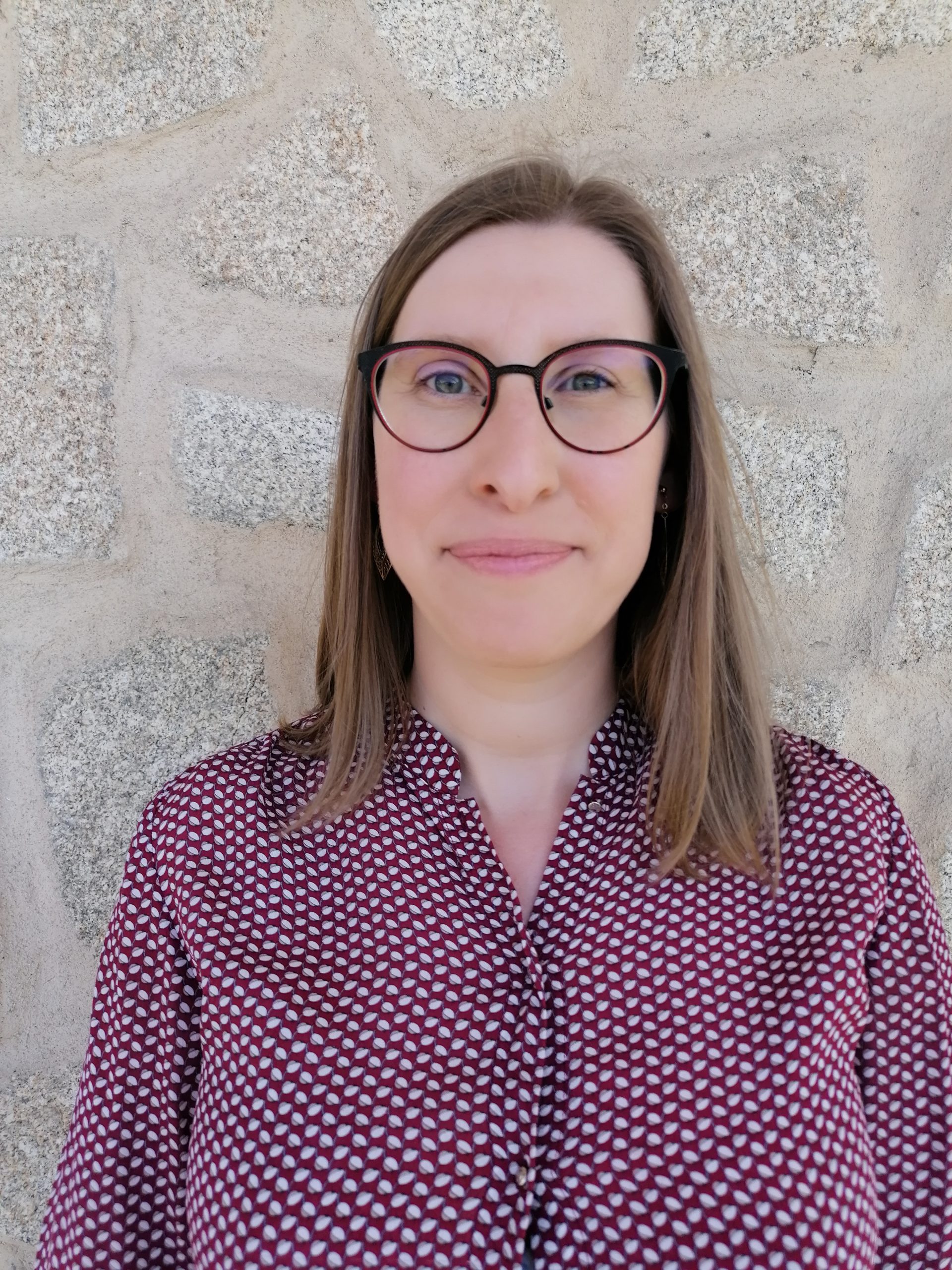 COMPANY – LEO-HB Technology