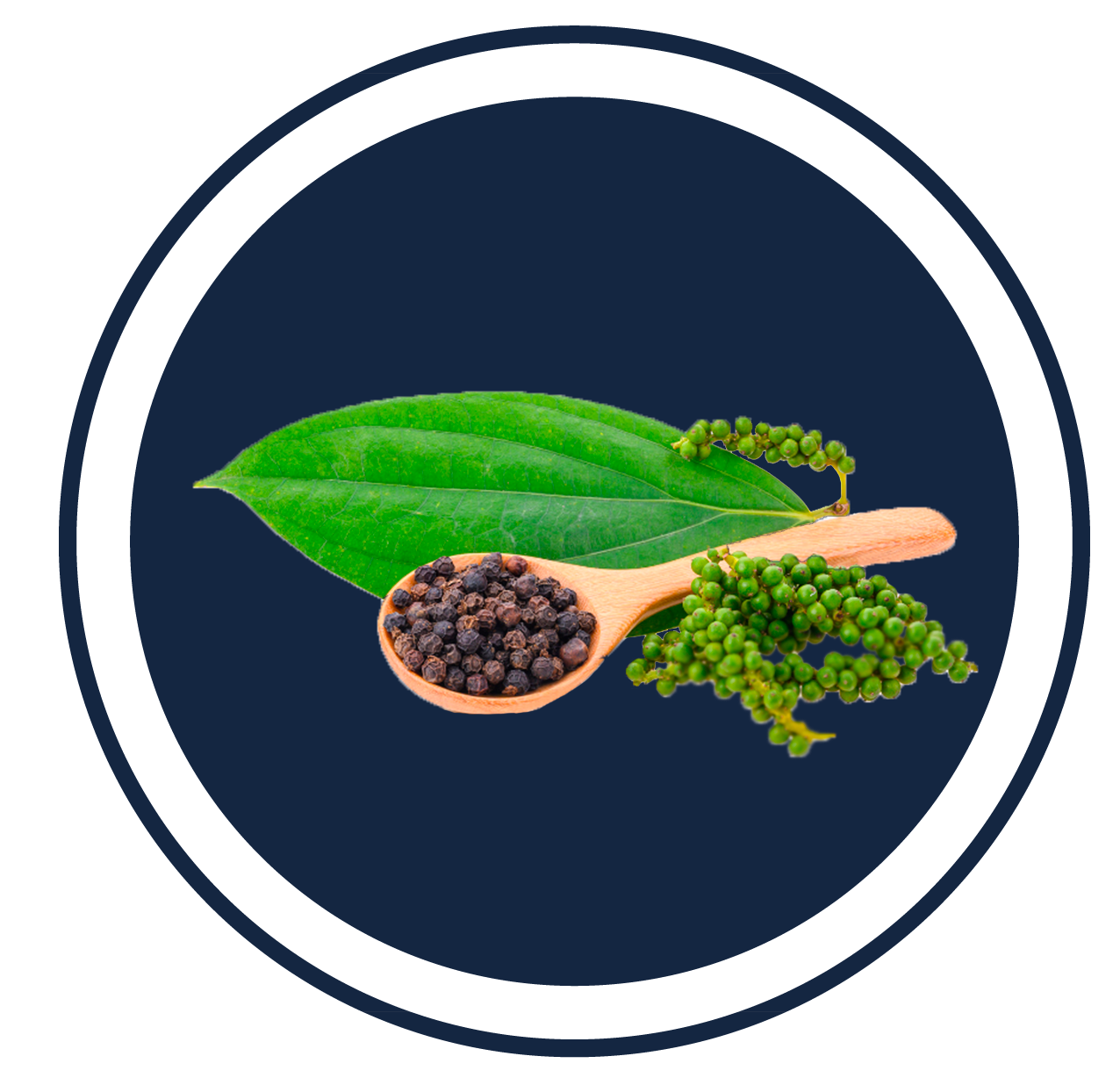 INGREDIENTS – LEO-HB Technology